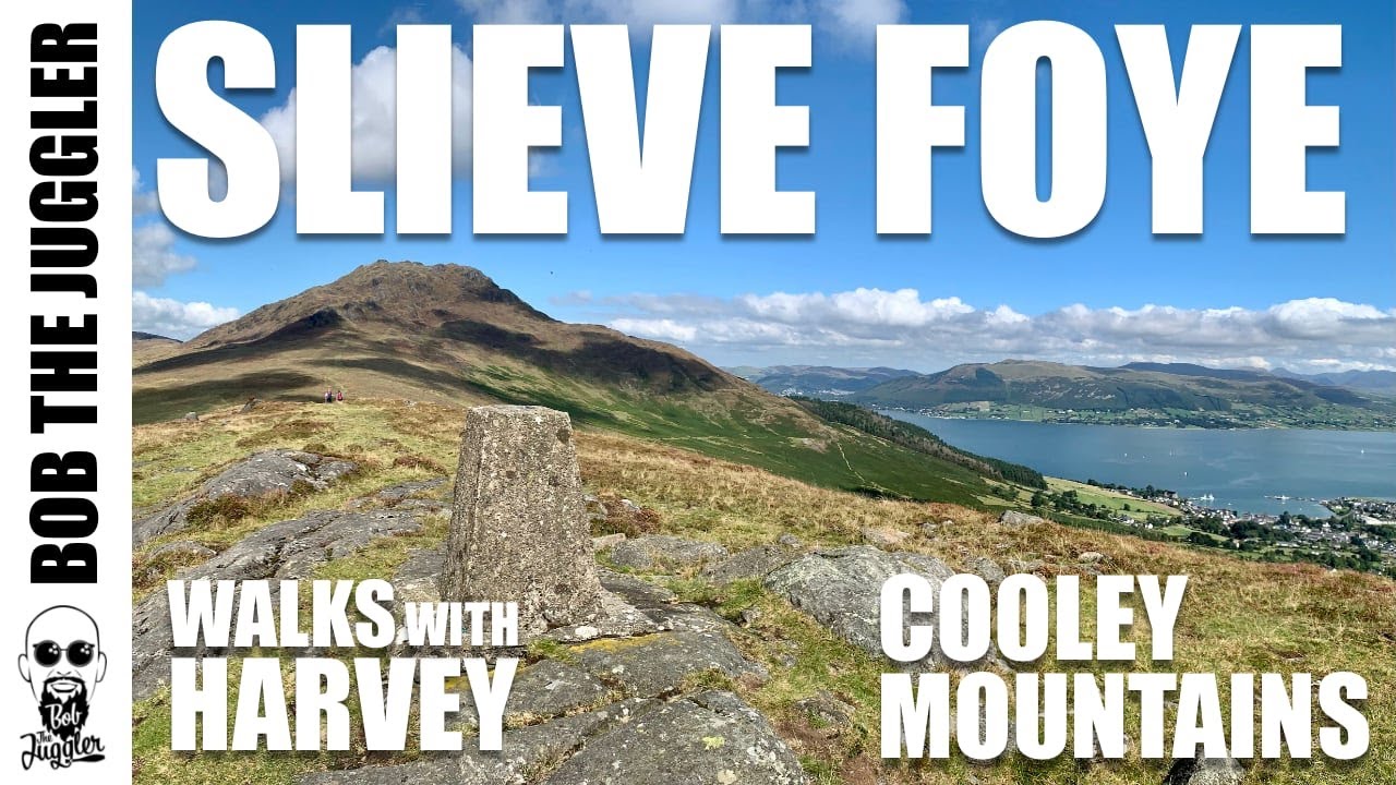 Walks with Harvey - Cooley Mountains, Slieve Foye - YouTube