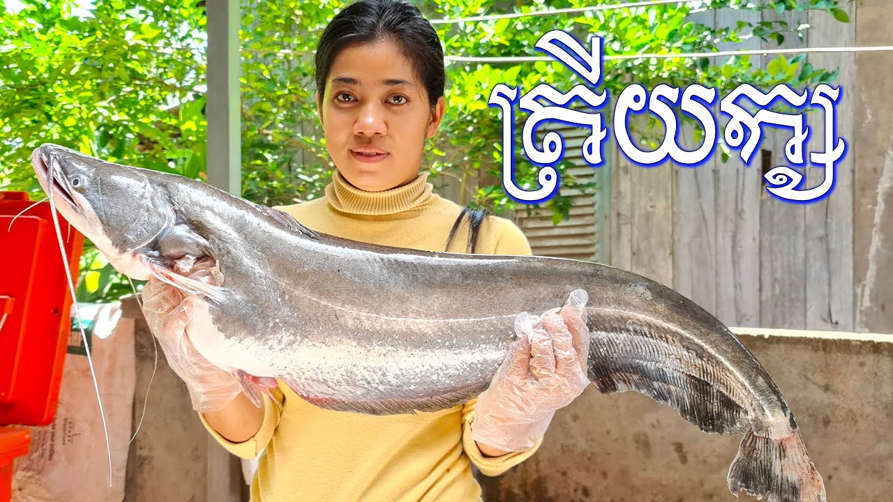 Ep.16 ពុទ្ធោ! លោកចិញ្ចឹមត្រីធំៗណាស់ | Fish Protection [Kru SELA ] - YouTube