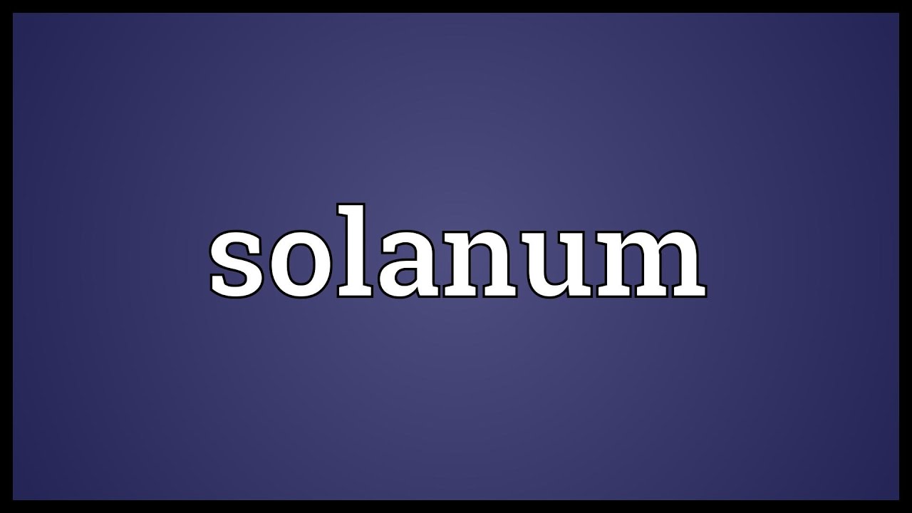 Solanum Meaning - YouTube
