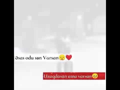 sevgiye😹 aid status ucun videolar😻status videolar mənali status ucun videolar#adminka 😻❤🙈_civcivim