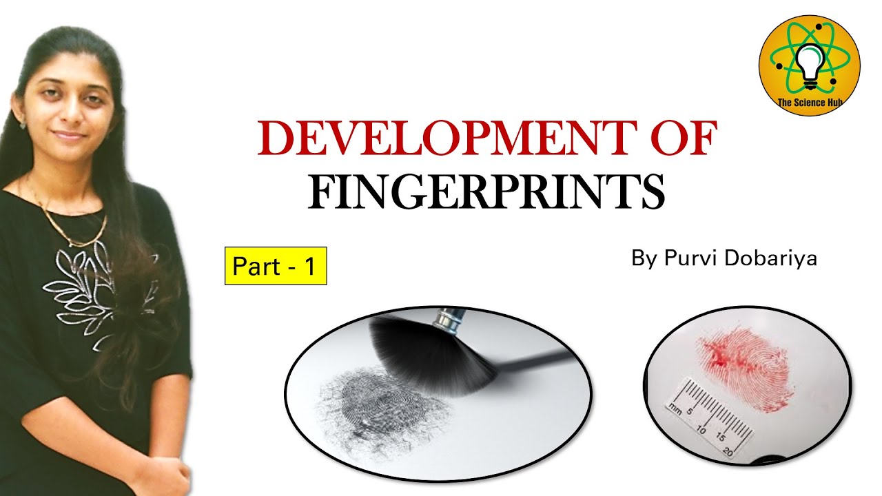 Development of Fingerprints - 1 | The Science Hub - YouTube