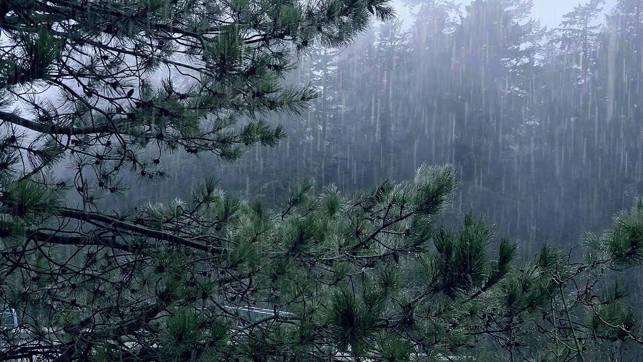 Sleep Instantly with Heavy Rainstorm & Powerful Thunder Sounds Covering ...