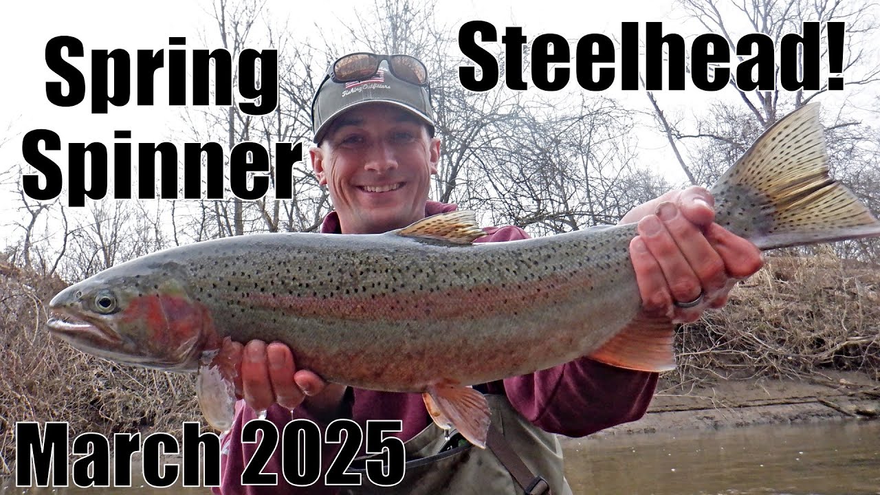 Indiana Tributary Steelhead: Spring Spinner Steelhead! 3/19/25 - YouTube