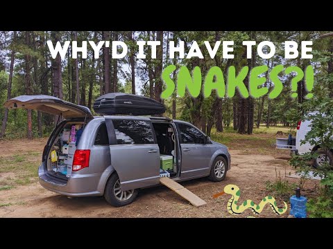Good Thing I'm Not Afraid of SNAKES! 😳🐍 | Boondocking in a Minivan ...