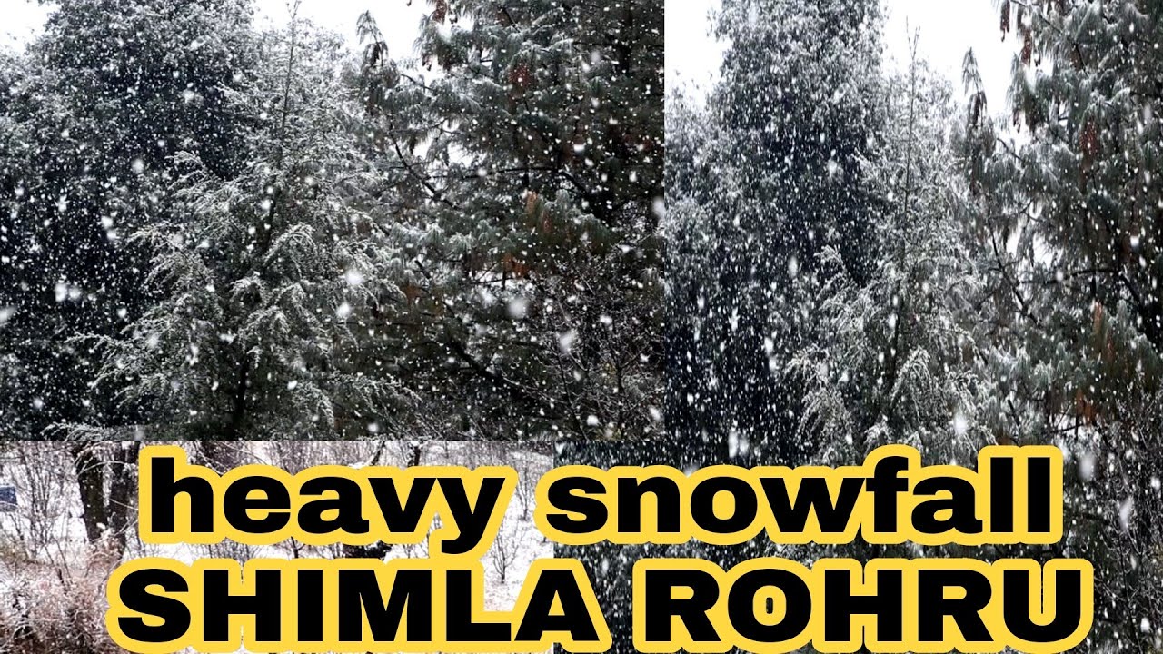 Finally the wait is over || snowfall || Shimla || Rohru ||Chirgaon ...