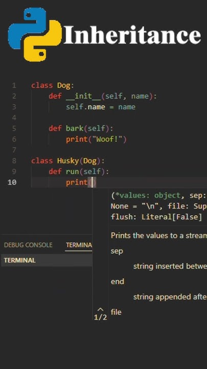 Python Inheritance In 30 Seconds 🔥👨‍💻 Shorts Python Programming Coding Learnpython Class 