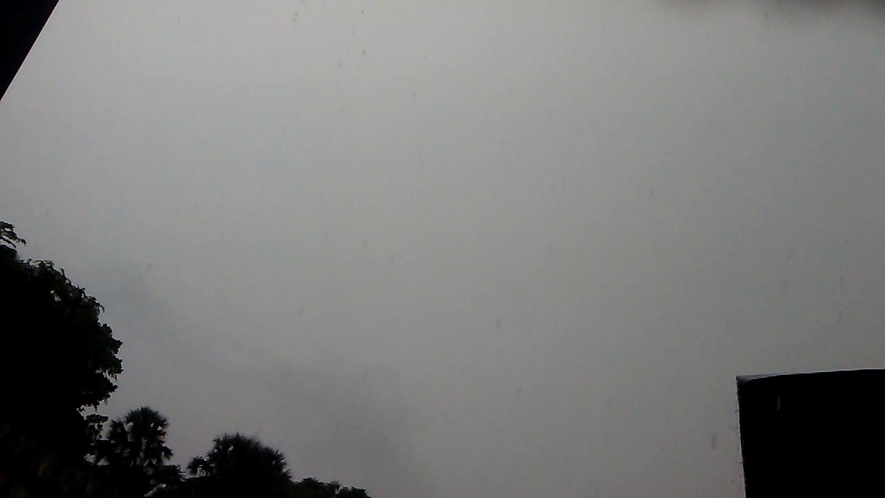 Sheldon Reid life in Jamaica #982(8) - YouTube