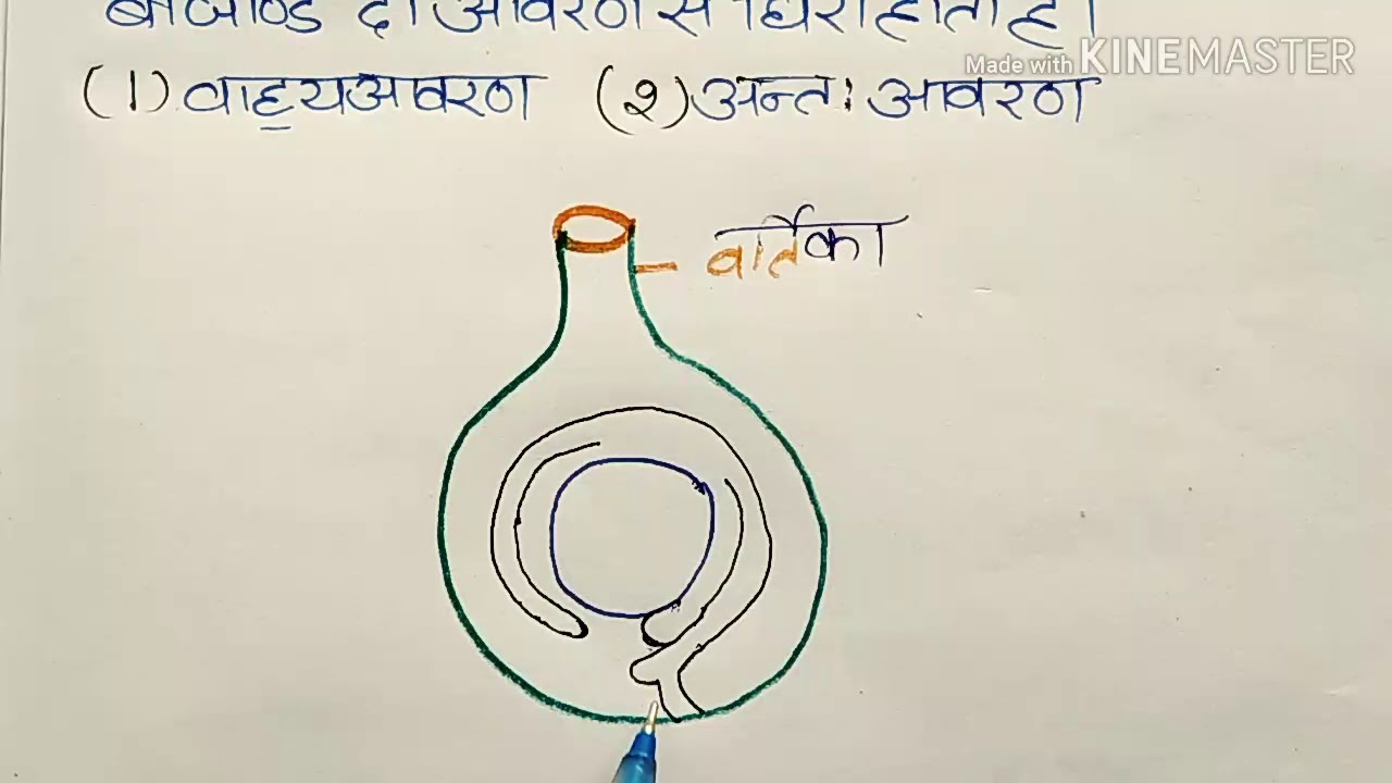 स्त्रीकेसर ,गुरुबीजाणुधानी (बीजांड),भ्रूणकोष क्या है?!what is Stri ...