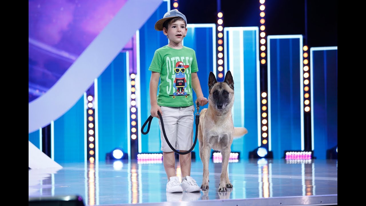 Teo Angheluță, o dulceață de copil. El este cel mai tânăr dresor de ...