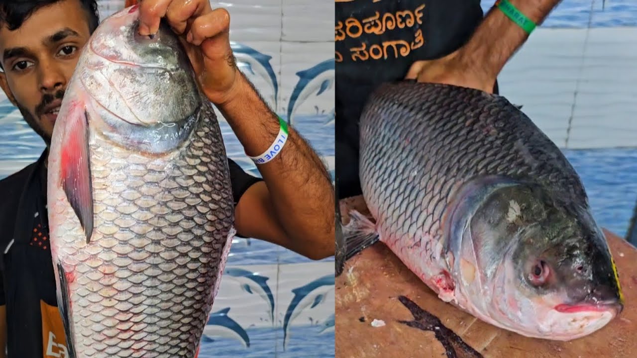 catla fish cutting skills!! sagar fish world hoodi & belathur Kadugodi ...