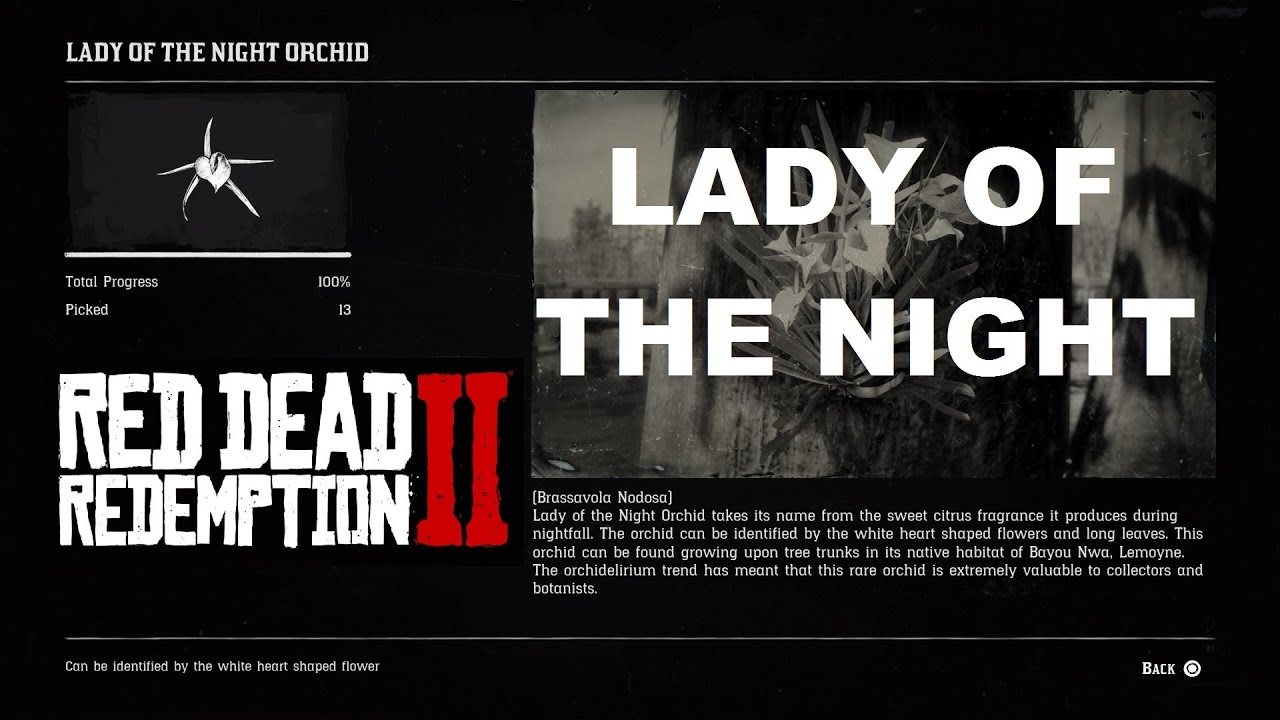 Lady of the night exact location + Little Egret in Red Dead Redemption ...