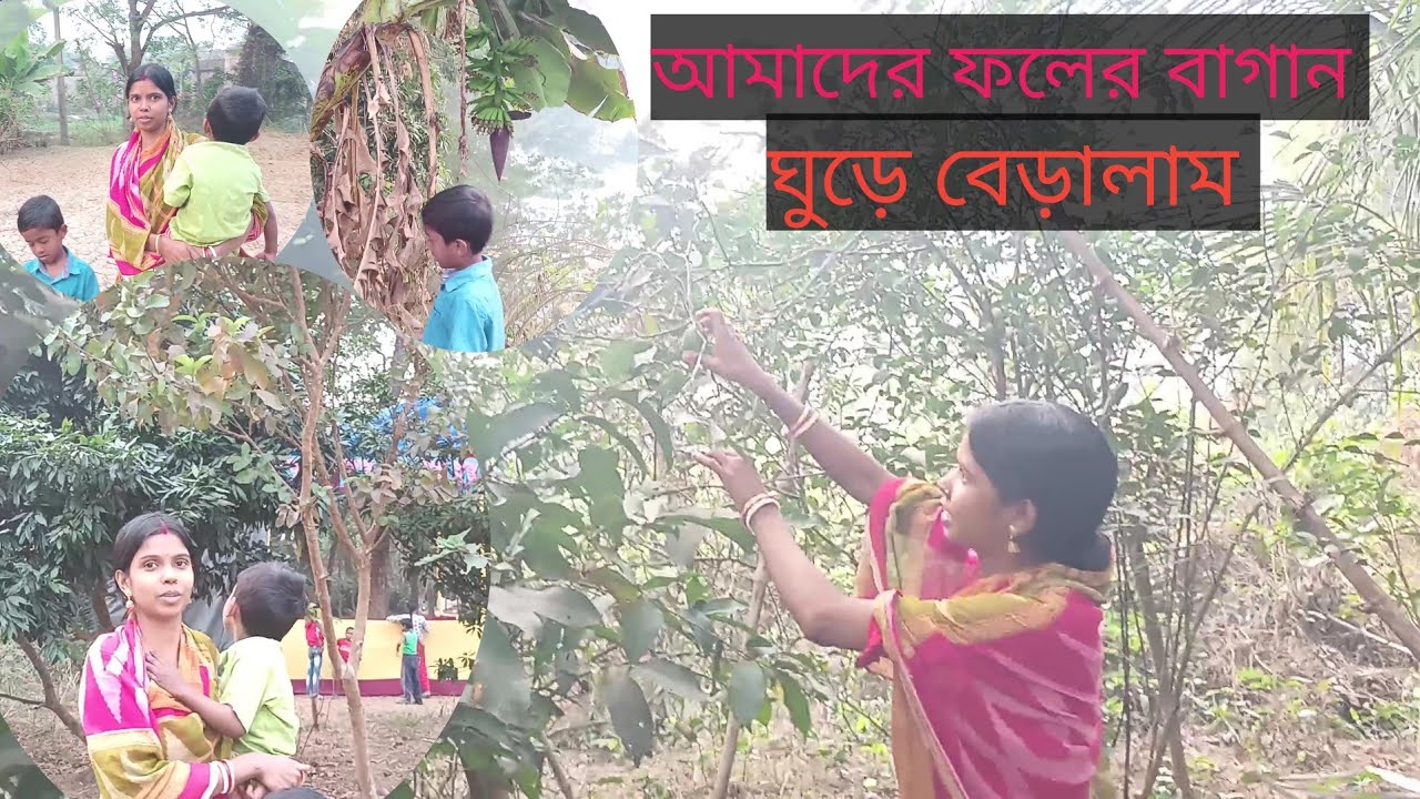 foler bagan ghure beralam ফলের বাগান ঘুরে বেড়ালাম 💞 - YouTube