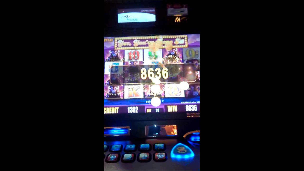 Wild Buffalo win at Morongo Casino - YouTube