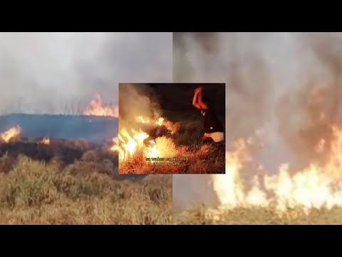 Fire forest (Pililla Rizal- Near at BellaVita) - YouTube