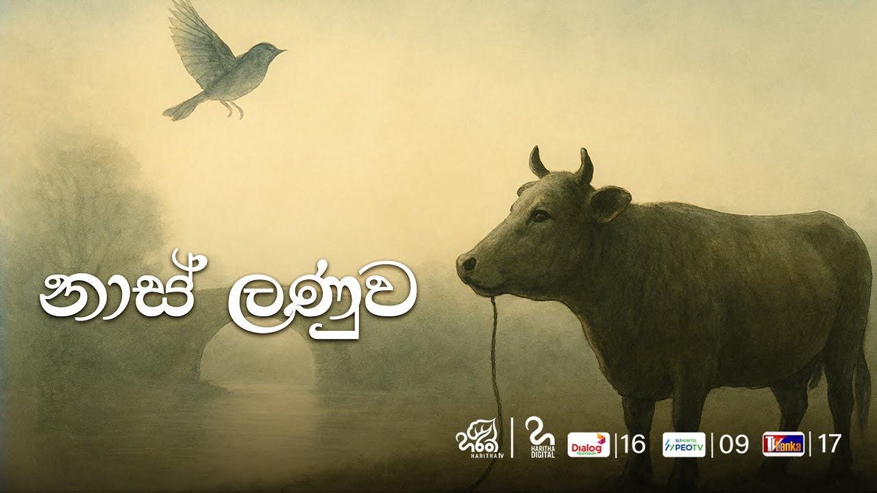 නාස් ලණුව කැඩුණු ගවයාගේ කතාව | Sankalpana | Haritha Tv - YouTube