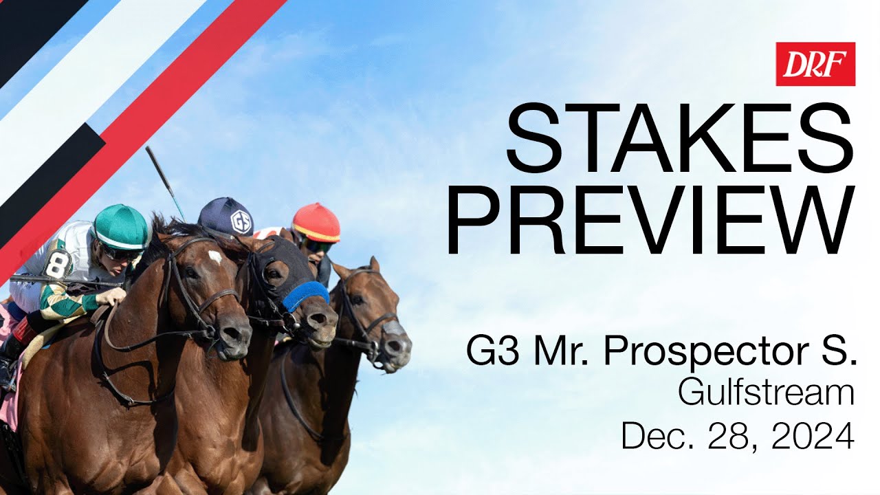 Grade 3 Mr. Prospector Preview | December 28, 2024 - YouTube
