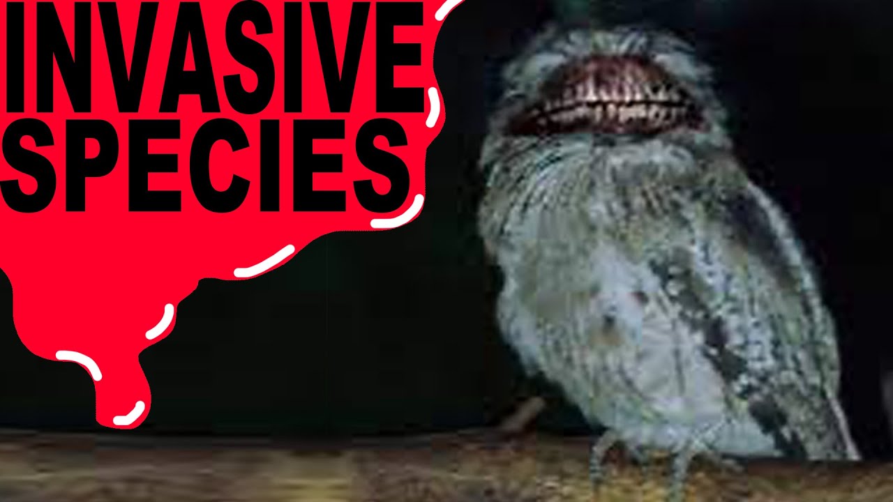 INVASIVE SPECIES - Trevor Henderson Creations - YouTube