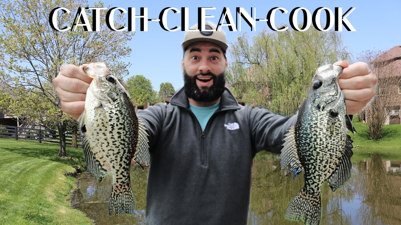 CATCH - CLEAN - COOK / Crappie Edition / Giant Fish Caught - YouTube