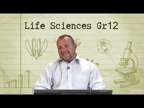 Grade12 Life Sciences 02 0002 Genetics and Inheritance - YouTube