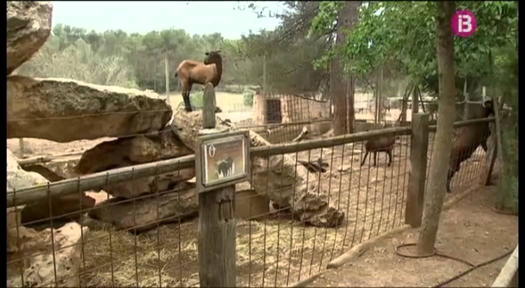 Natura Parc, zoológico Mallorca. Capacitats per descobrir la natura ...
