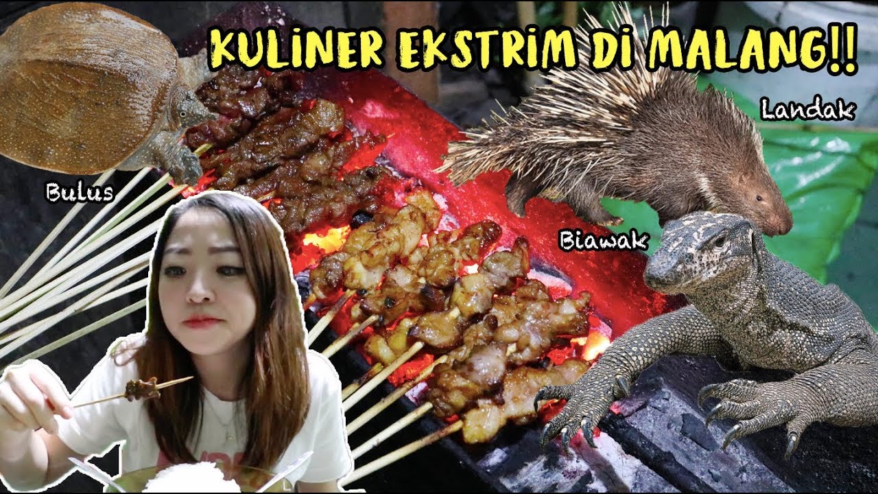 TERLALU EKSTRIM!! GIMANA YA RASANYA DAGING LANDAK, BIAWAK, DAN BULUS ...