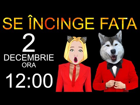EZY Foxi feat. EZY Houdini - Se incinge (Teaser)