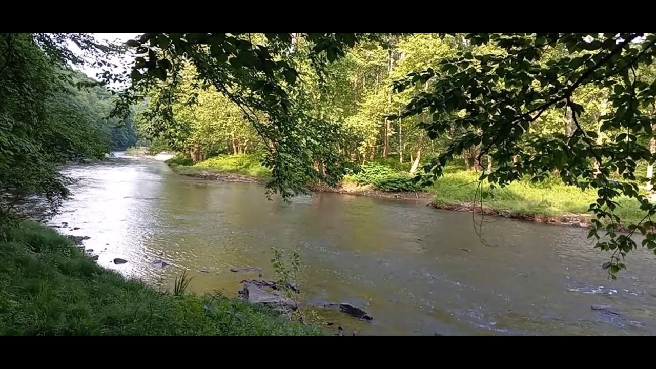 The Gerard Trail Thru Hike - Part 18 - YouTube