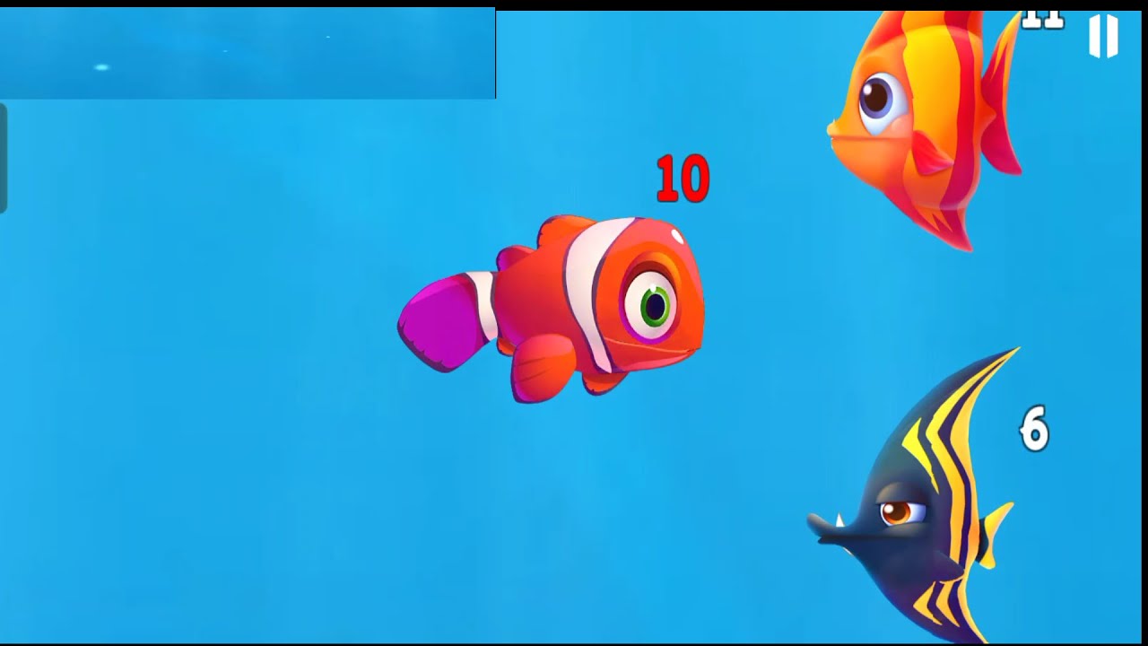 Hungry Fish eats fish - YouTube