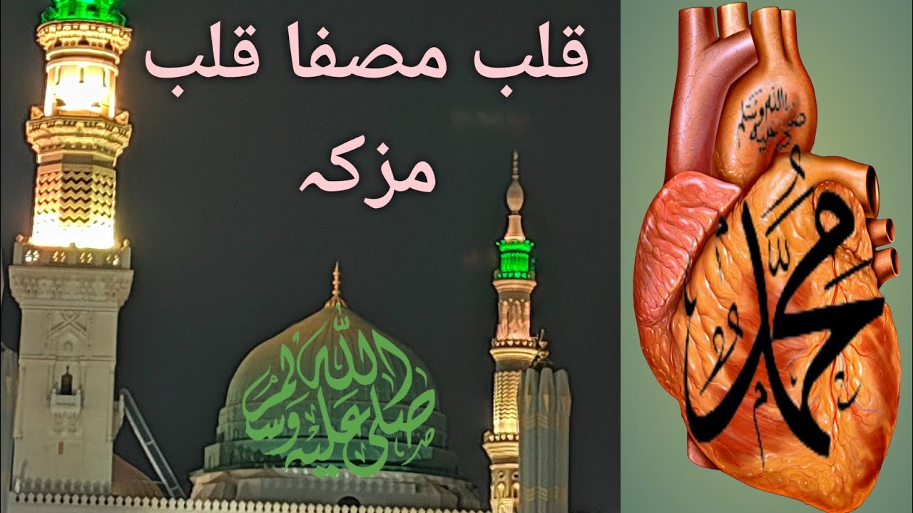Qalb Musafa Qalb Mazka | صلی اللہ علیہ وسلم | Naat Sharif - YouTube