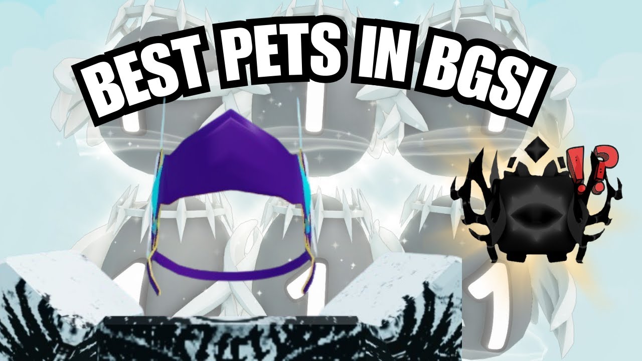 How YOU can get one of the BEST pets in BGS Infinity!! - YouTube