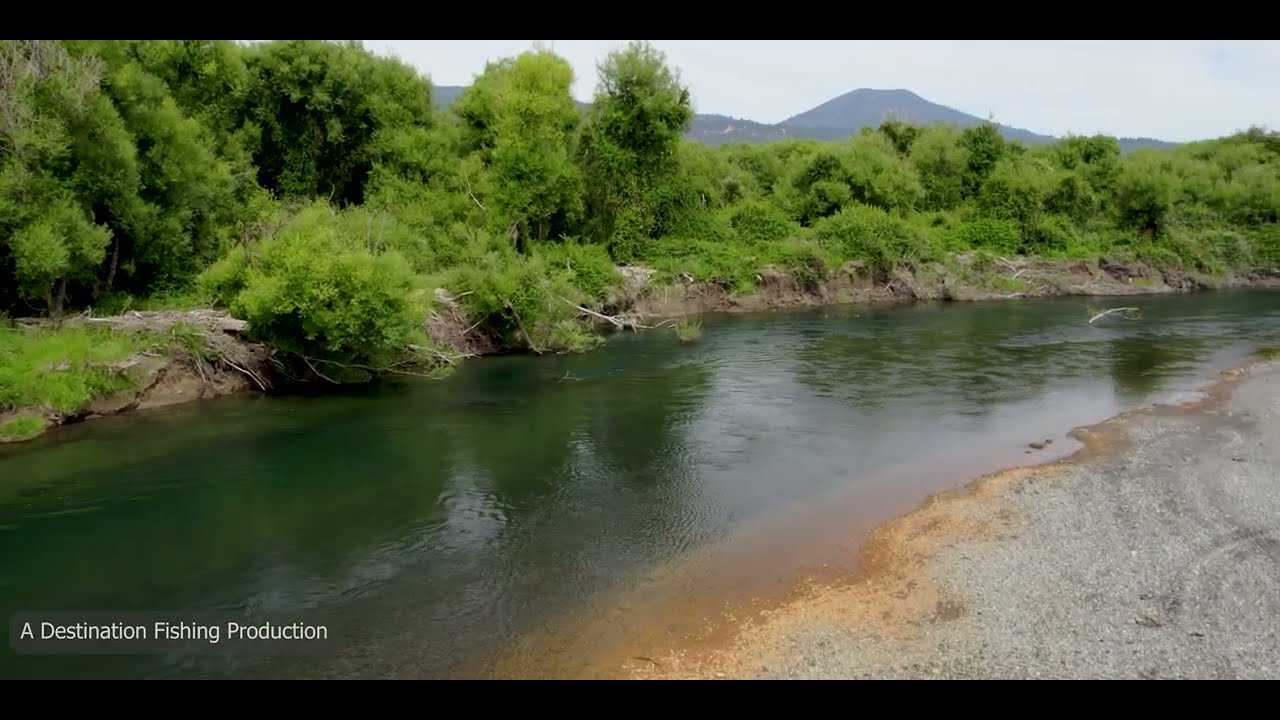 Unforgettable Fishing Journey: Father & Son in NZ’s Paradise - YouTube