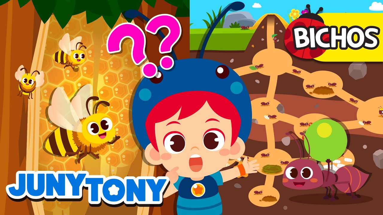 Hogares de Insectos | Bichos | Canciones Infantiles | JunyTony en español - YouTube