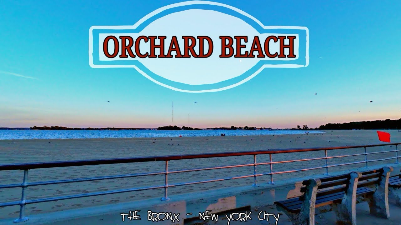 Orchard Beach | The Bronx | New York 4K [NYC] - YouTube