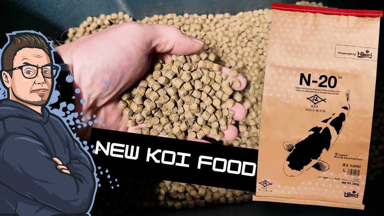Sakai N-20 Hikari is this JAPANS BEST KOI FOOD? My First Look - YouTube