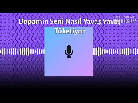 Kronik Mutsuzluğun Nörobilimi  - Dopamin Sistemini Yeniden Yazmak