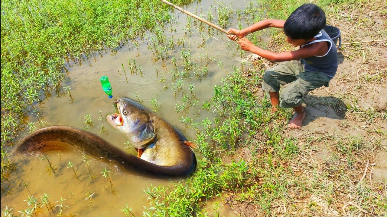 TRADITIONAL BOTTLE FISHING VIDEO 2022,AMAZING PLASTIC BOTTLE FISHING ...
