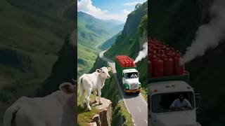 US The Brave Calf Saved The Driver S Life Just Before The Cylinder ...