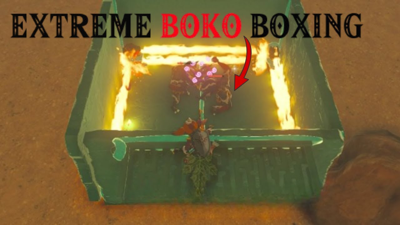 EXTREME BOKO BOXING! In Zelda: Tears of The Kingdom - YouTube