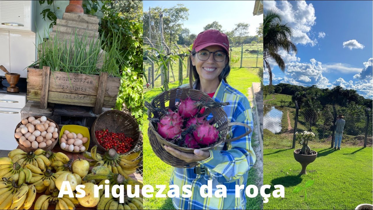 VIDA NA ROÇA!! MAIS UM DIA MARAVILHOSO POR AQUI! - YouTube
