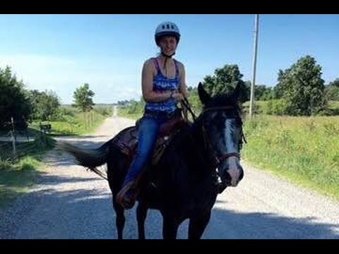 Choosing Your First Saddle - YouTube