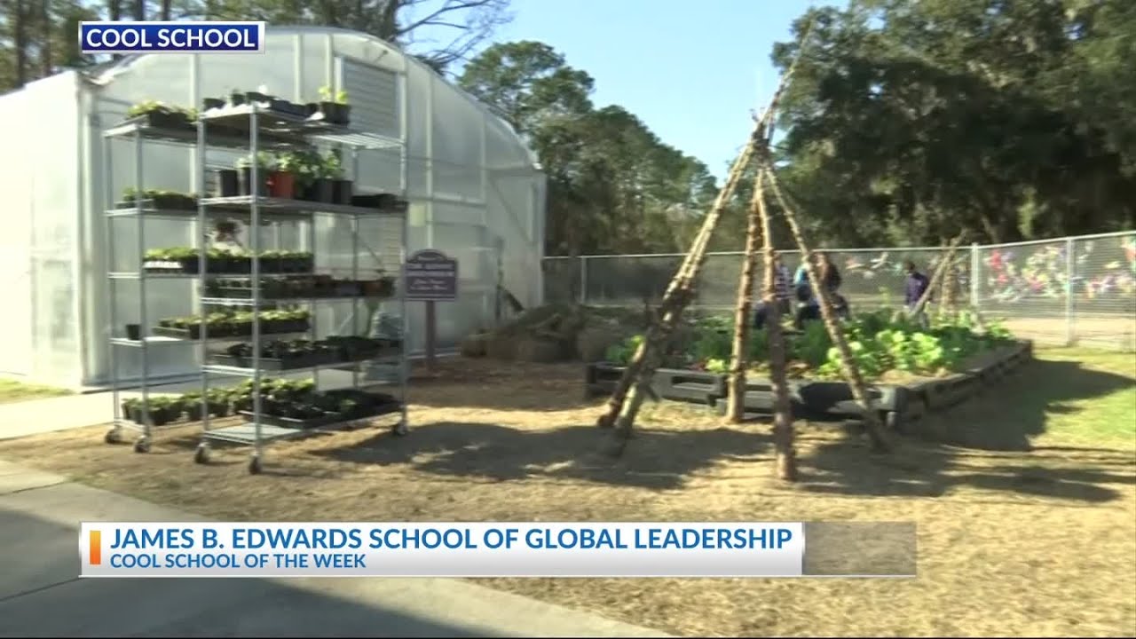 Cool School: James B. Edwards School of Global Leadership - YouTube