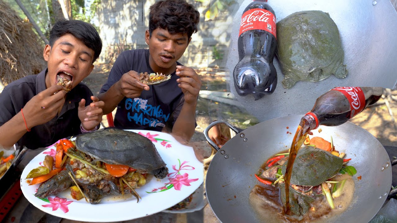 Streaming Cooking Turtle with Coca Cola Delicious Food - YouTube