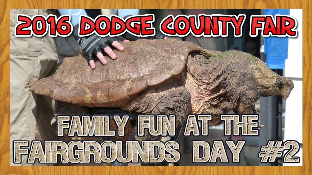 Wisconsin Festival Day #2 | Fun at the 2016 Dodge County Fair near ...