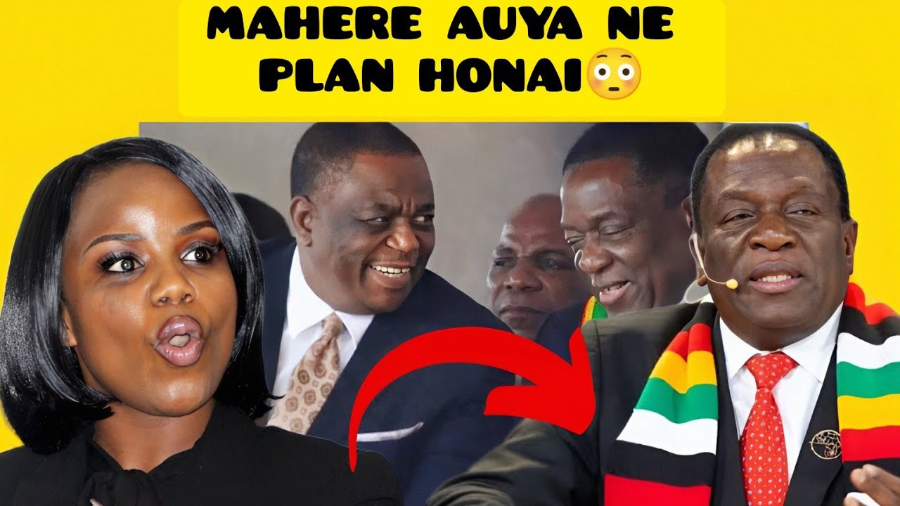 NGAACHIPINDA | FADZAI MAHERE ORATIDZA ZANU PF GWARA CHAIRO ZVASHAMISA 😳 ...