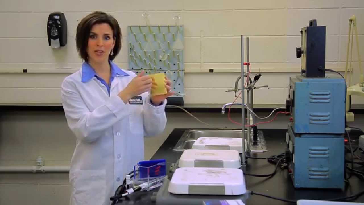 Interpreting Nickel Plated Hull Cell Panels - YouTube