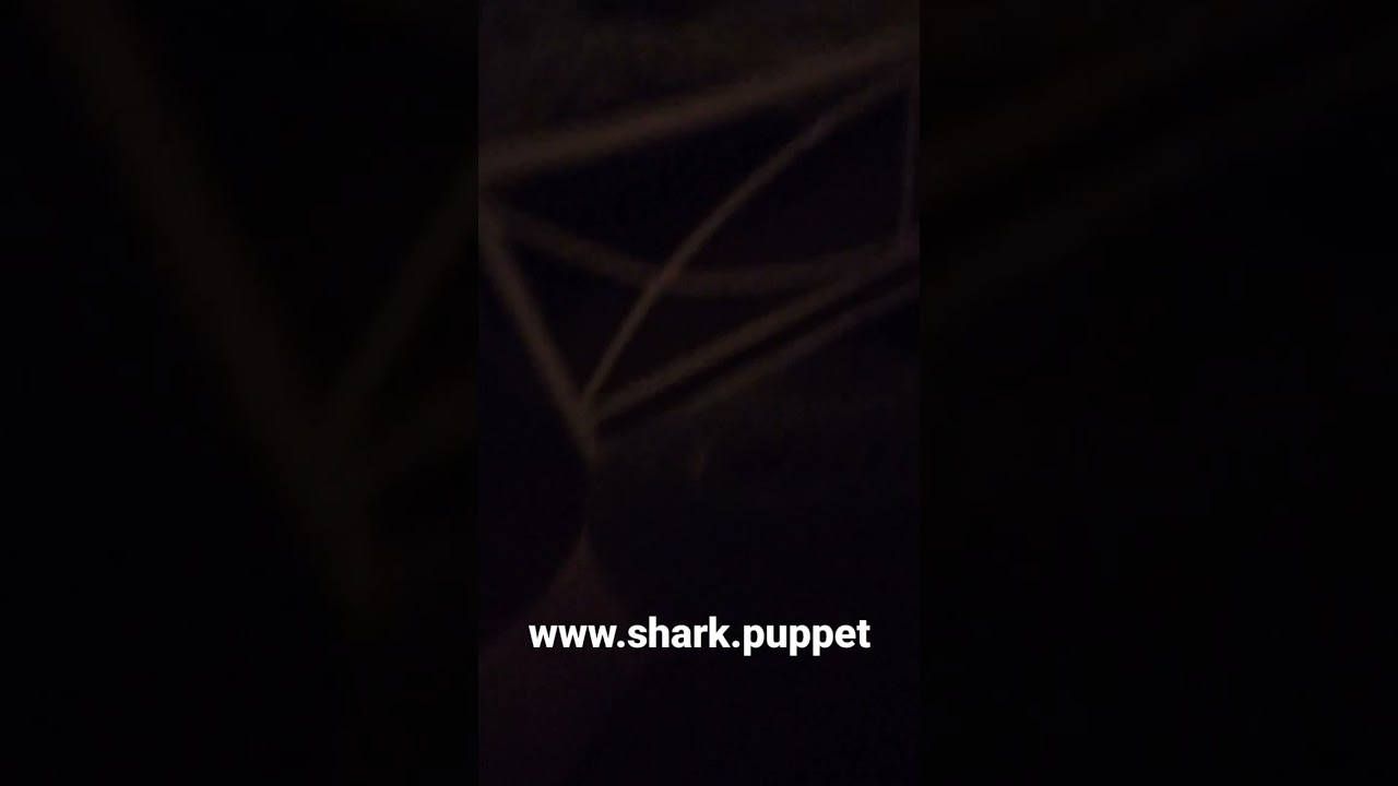 Shark Puppet Cry - YouTube