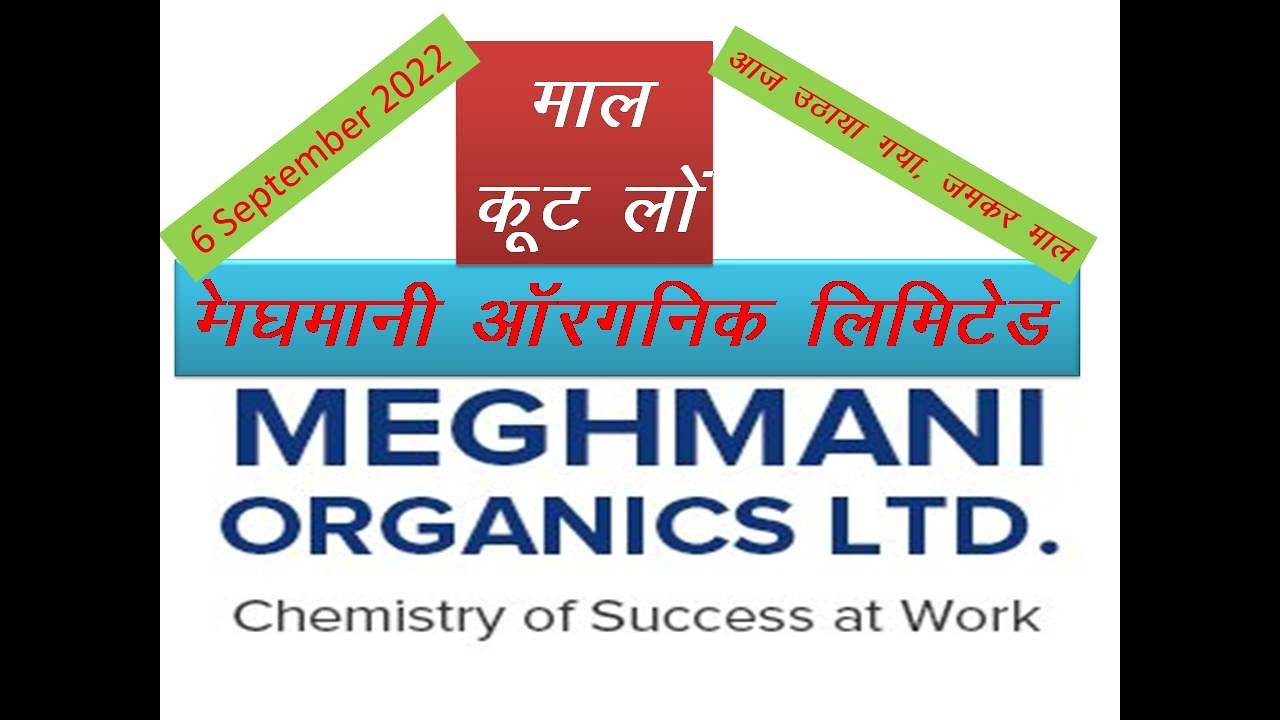 Meghmani Organics Ltd I माल कूट लो I Analysis on Meghmani Organics ltd ...