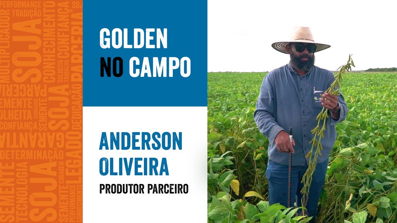 Golden no Campo | Anderson Oliveira - YouTube