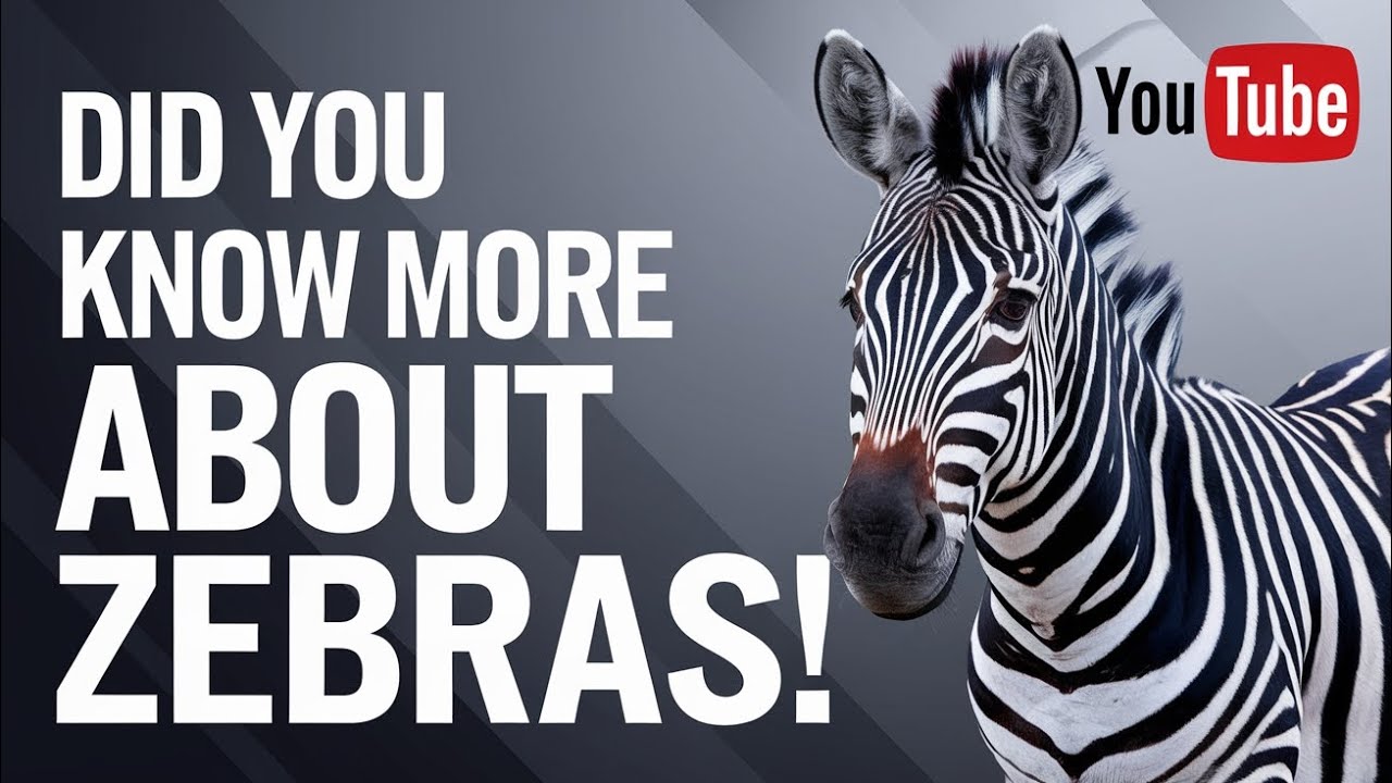 Did you know more about Zebras? #zebra #facts - YouTube