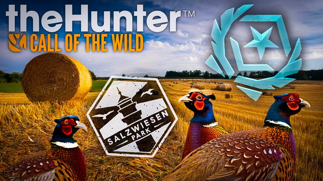 Pheasant GRIND! Lodge Tours Tuesday instead. GO Tonight?! | theHunter ...